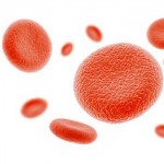 Anemia Panel - Pratham Pathology Laboratory Pvt Ltd